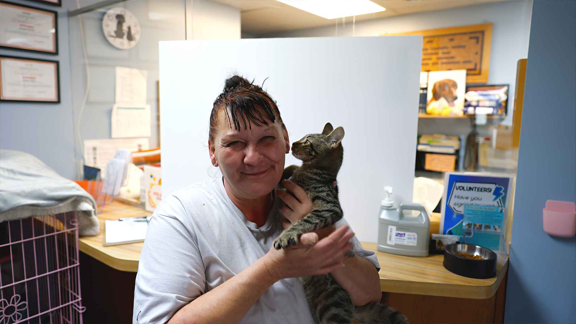 Meet the Dedicated Team at Nelson SPCA